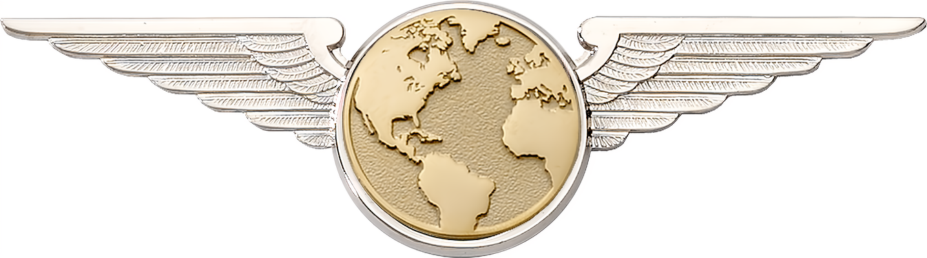 5320 Plain Wing with Generic Emblem – GreatWings