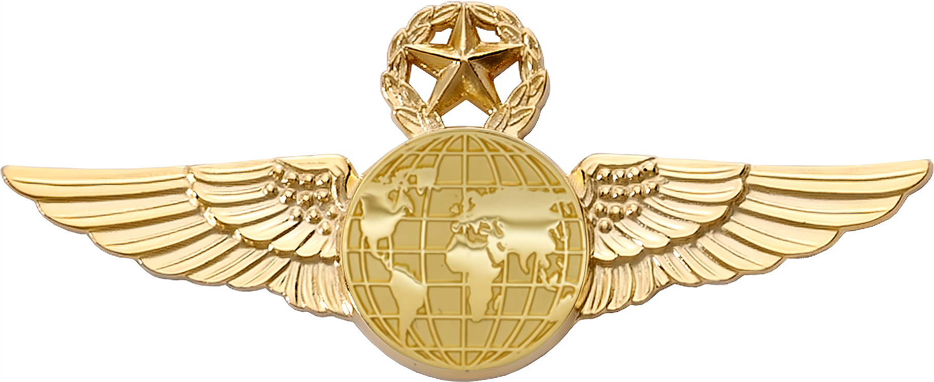 6425SW Star & Wreath Wing with Generic Emblem – GreatWings