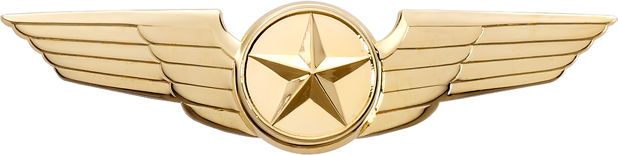 7860 Plain Wing with Generic Emblem – GreatWings