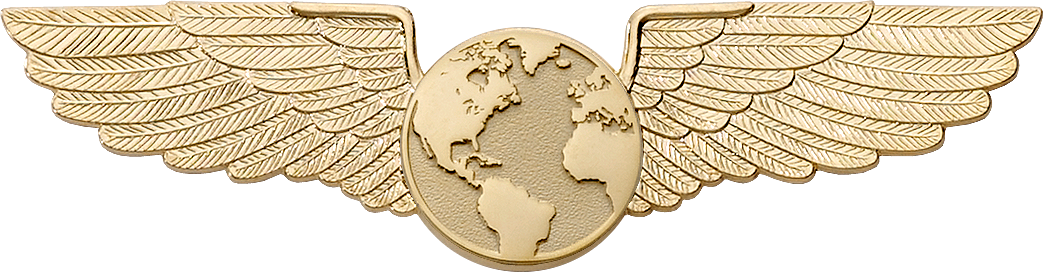 9640 Plain Wing with Generic Emblem – GreatWings