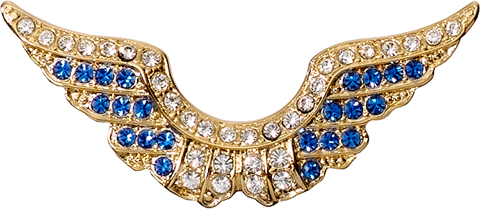 Wing Pin – GreatWings