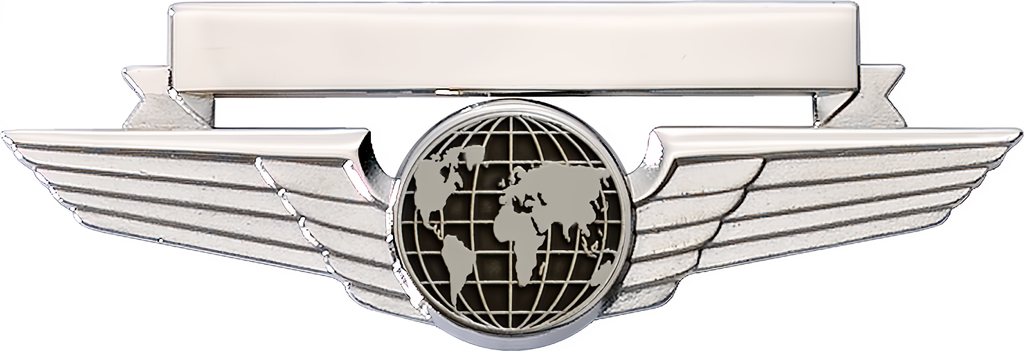 2186 Name Panel Wing with Generic Emblem – GreatWings